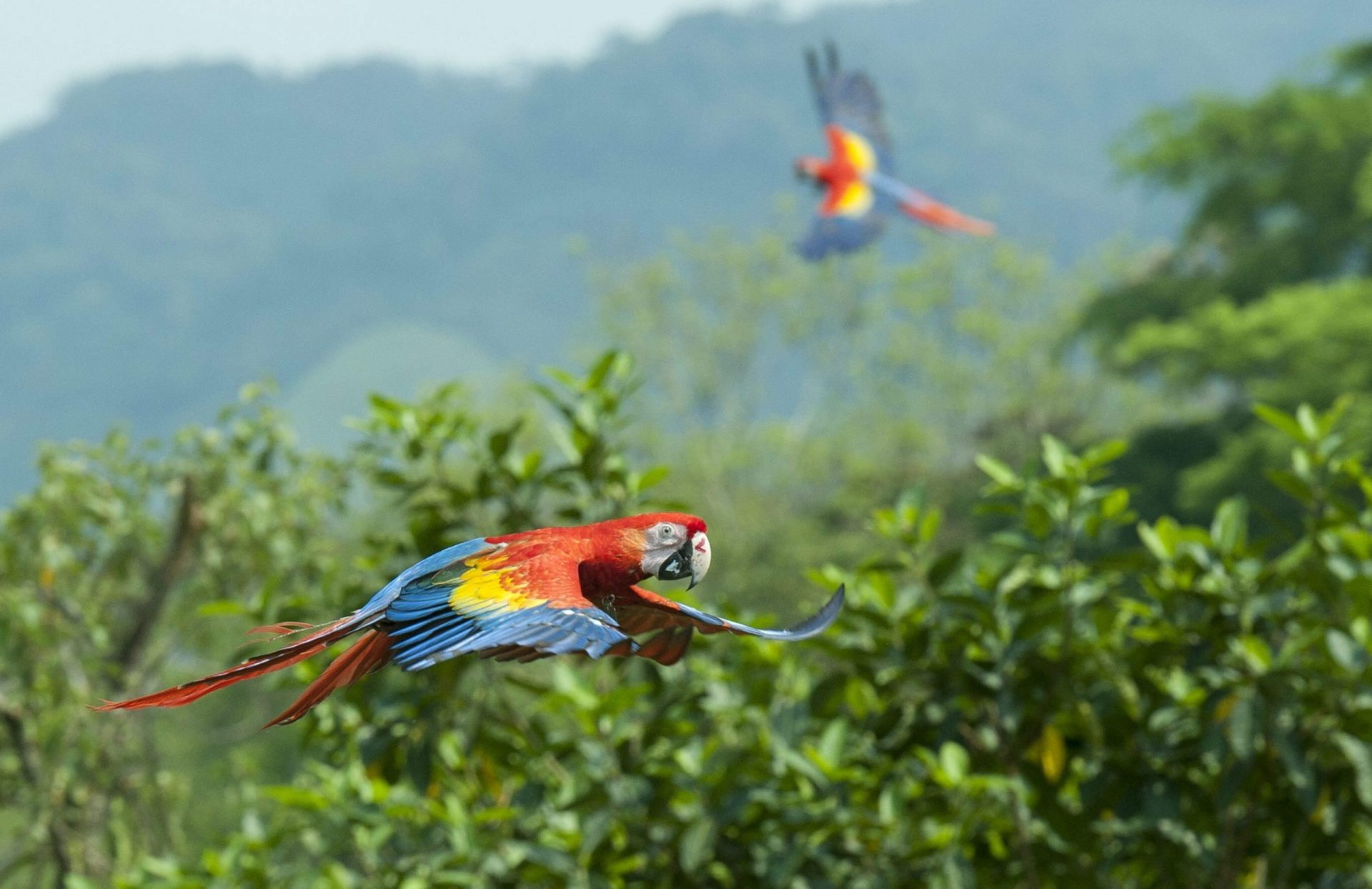 CHIAPAS UNKNOWN LAND. | NICHIM TOURS